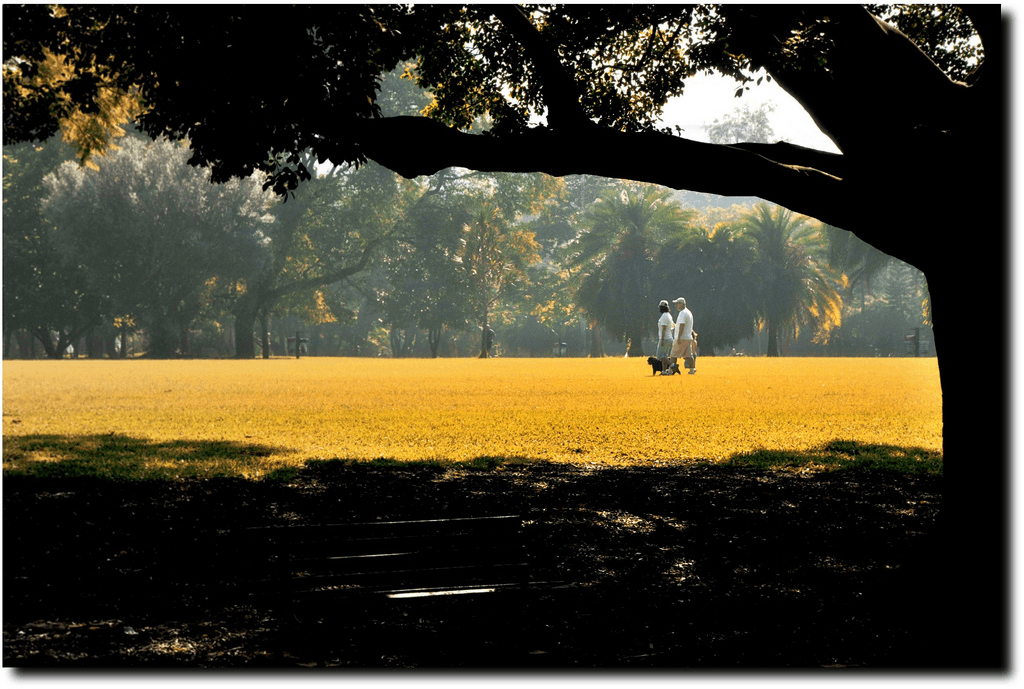 selunar - O maior arquivo sobre parques urbanos do Brasil