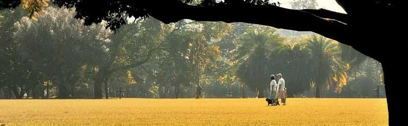 selunar copy - O maior arquivo sobre parques urbanos do Brasil