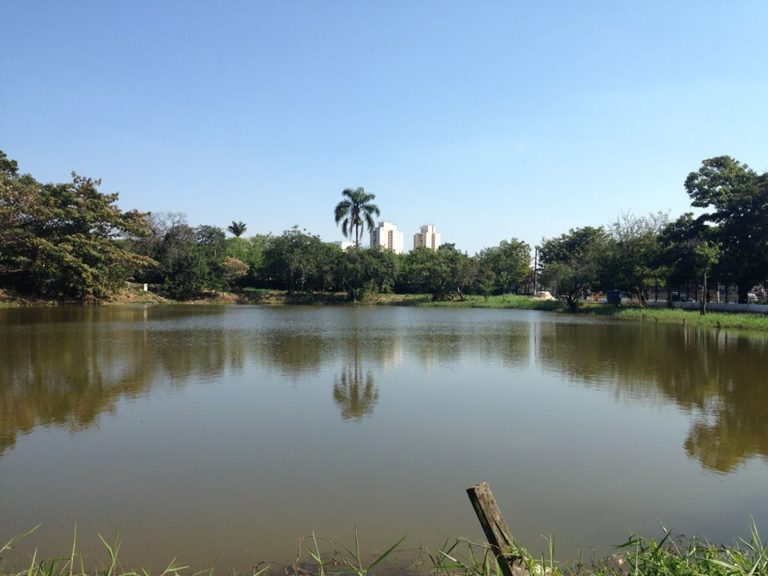 lago - O maior arquivo sobre parques urbanos do Brasil