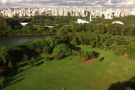 Parque do Ibirapuera - Arquivo Ibirapuera e Parques Urbanos